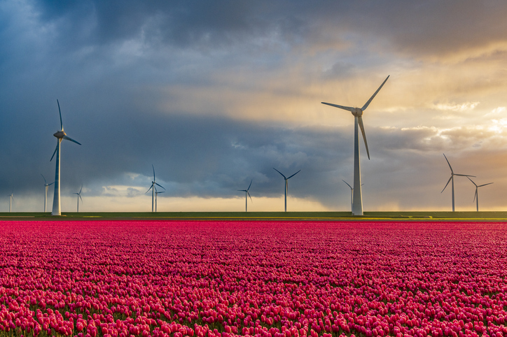 March 25, 2024 RCW Weekly Briefing