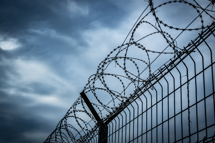 December 2, 2024 RCW Weekly Briefing